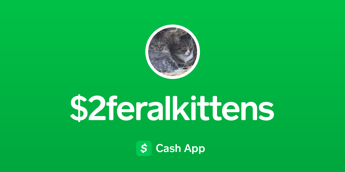 Pay $2feralkittens on Cash App